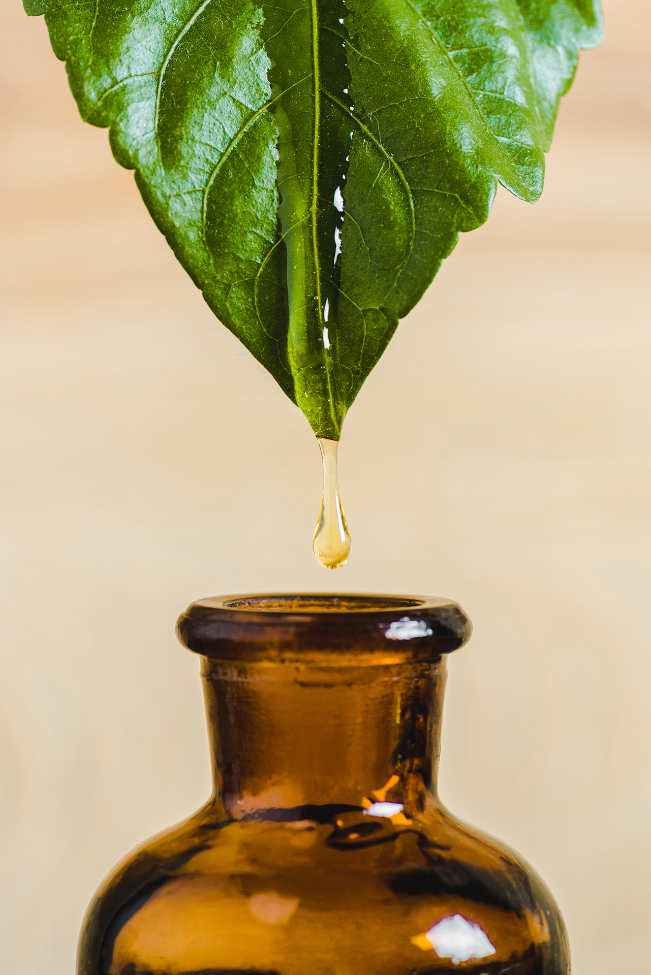 Whole Plant Extraction & Soft Botanical Infusion Manufacturing ...